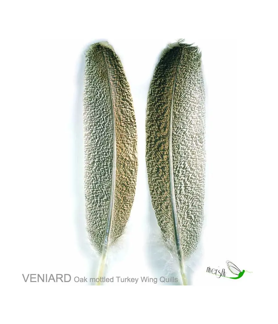 Oak Mottled Wing Quills Veniard